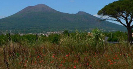 Mt. Vesuvius & Pompeii Tours | Under the Tuscan Sun Tours